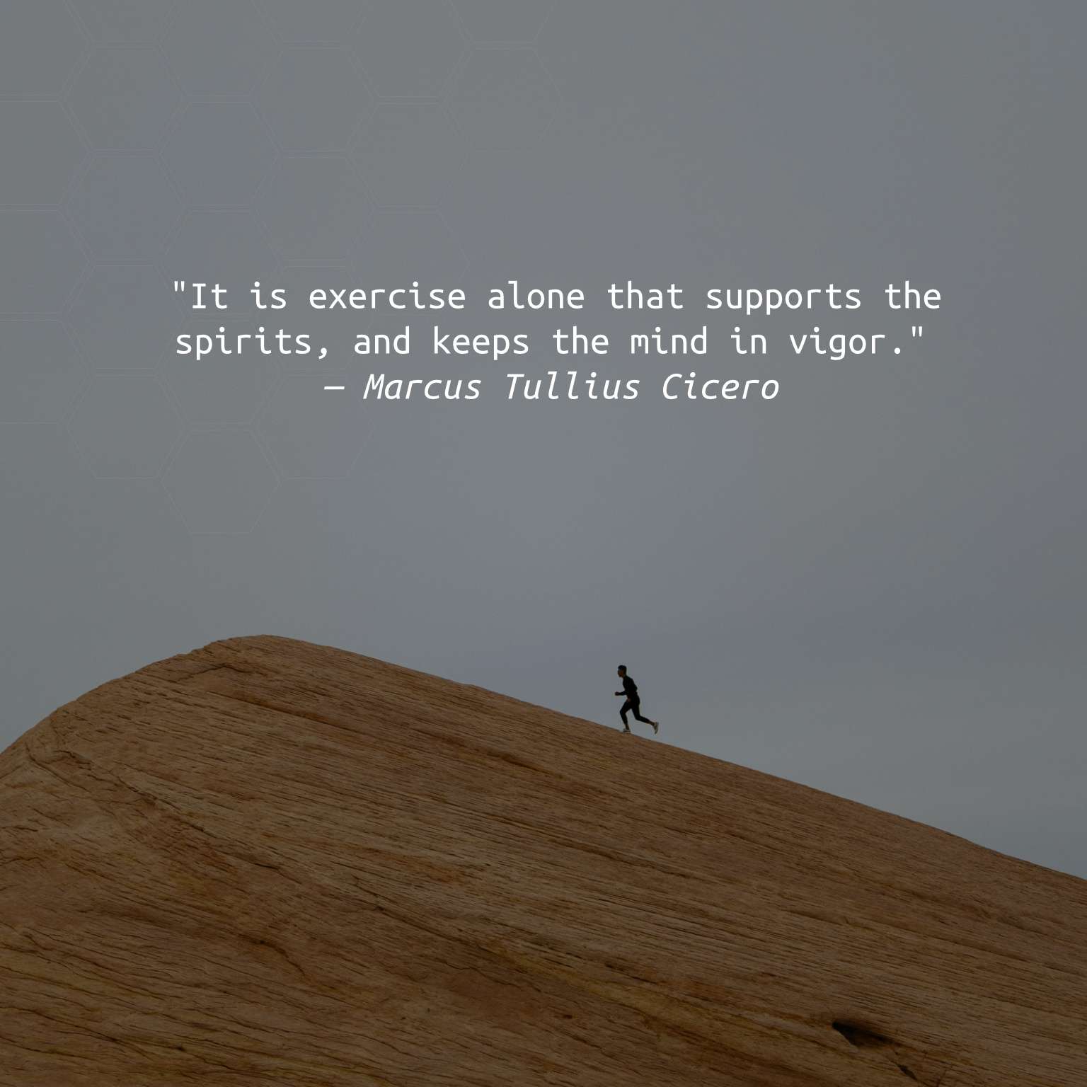 Active Living — Maximize Your Energy And Return On Life