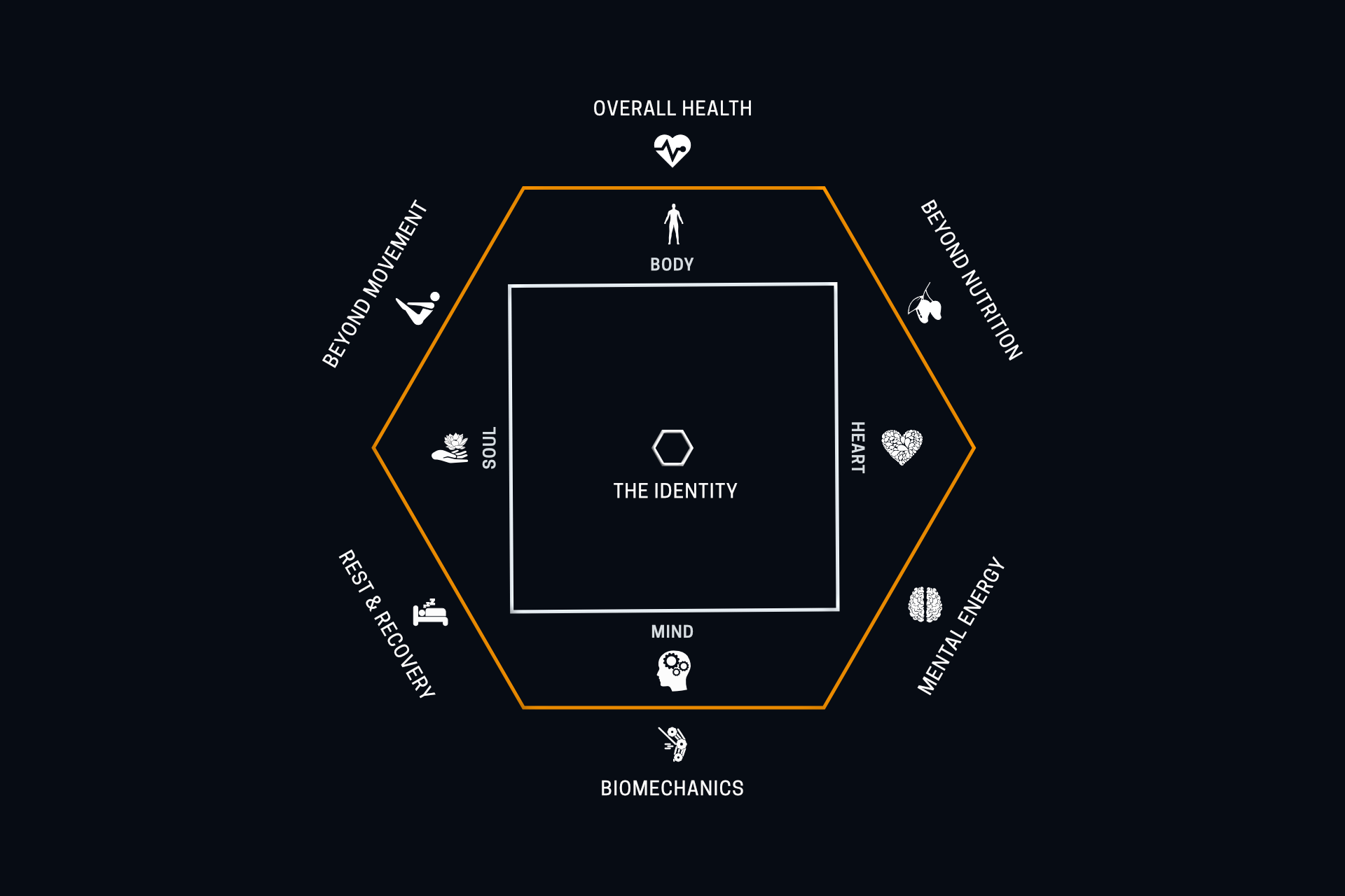 1:1 Online Body-Mind Fitness Coaching W/ Markus Kneissl | The Energy Lab