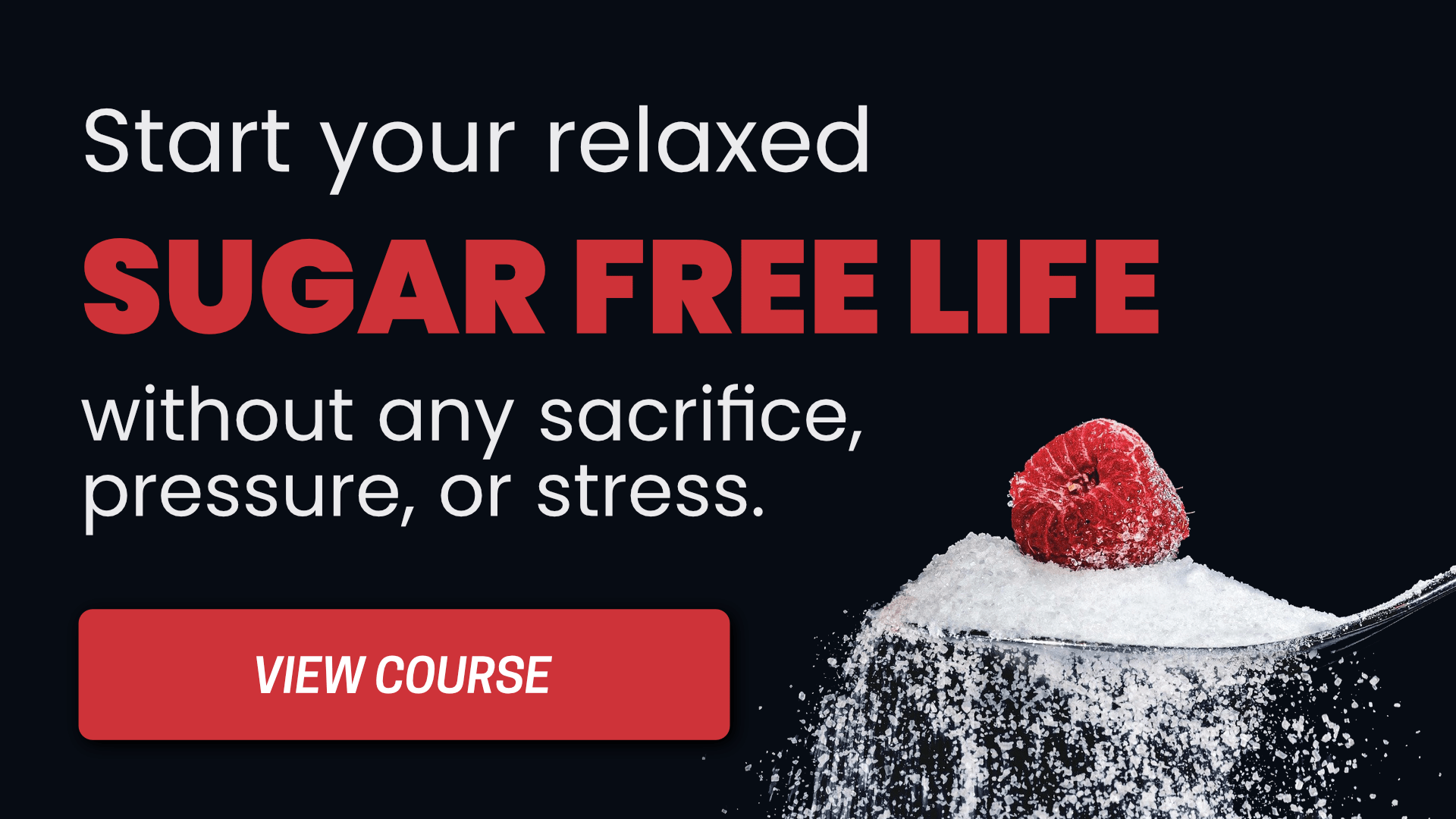 Your Sugar Free Life — Online Course | The Energy Lab
