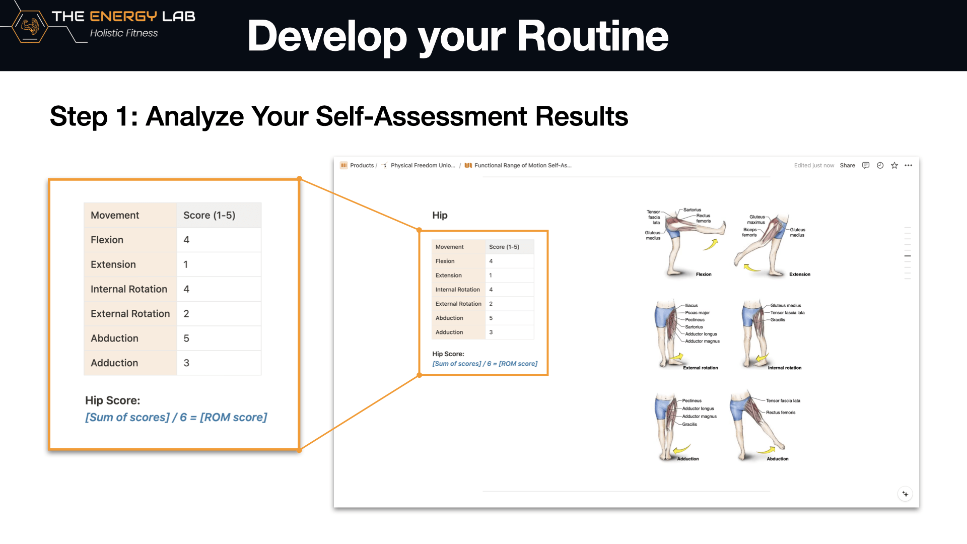 The Physical Freedom Unlocked Program 2025 | The Energy Lab